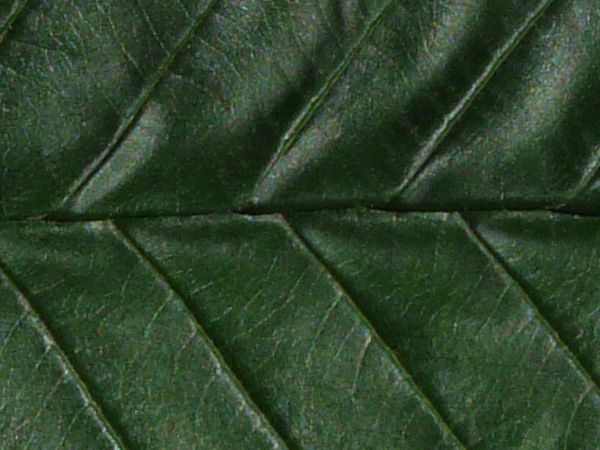 texture 0031 - Texturelib